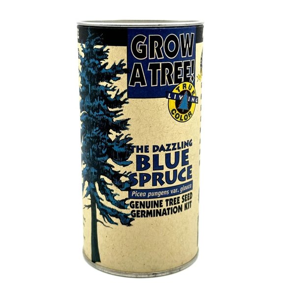 Other | Grow A Tree Colorado Blue Spruce Genuine Tree Seed Germination ...